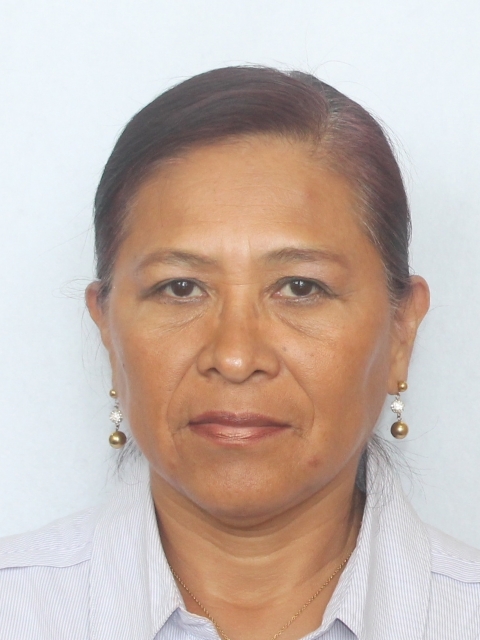 Candidatos Para Alcalde | Voto Informado 2024 - Tribunal Electoral